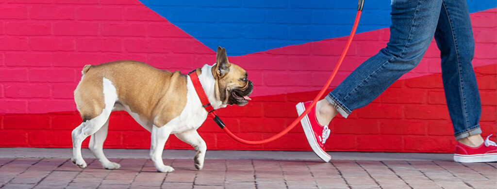 PetSmart - Pet Supplies, Products and Services | Plaza El Segundo